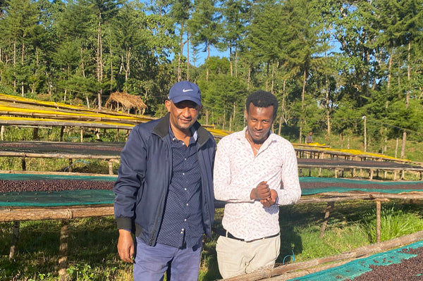 Ethiopian Gera Gr1 Anaerobic Natural – Gracefully Coffee Roasters, Inc